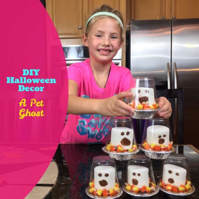 DIY Halloween Decor – Pet Ghost – Acacia Uncorked